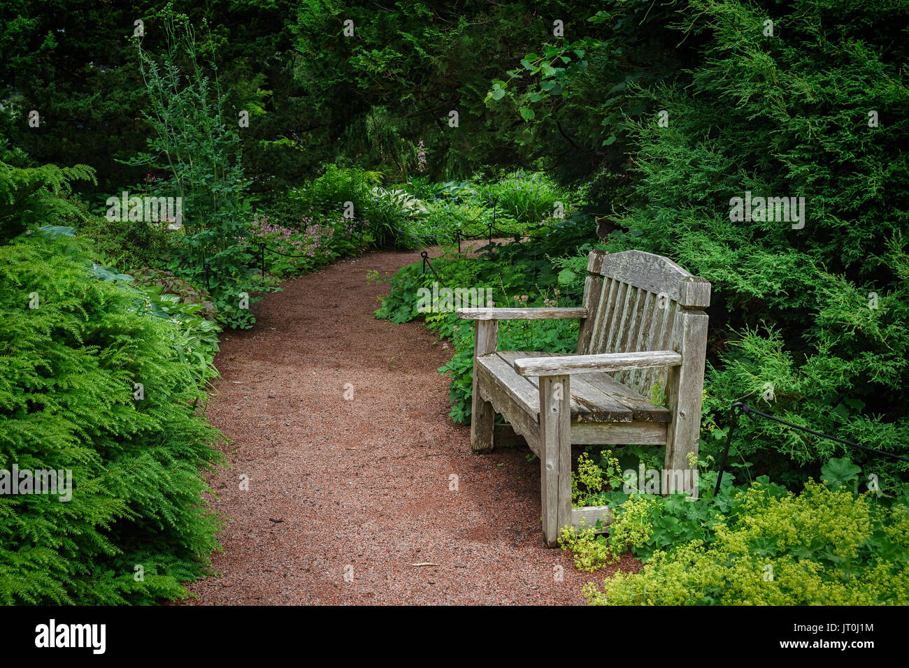 Garden bench in an evergreen garden Stock Photo - Alamy