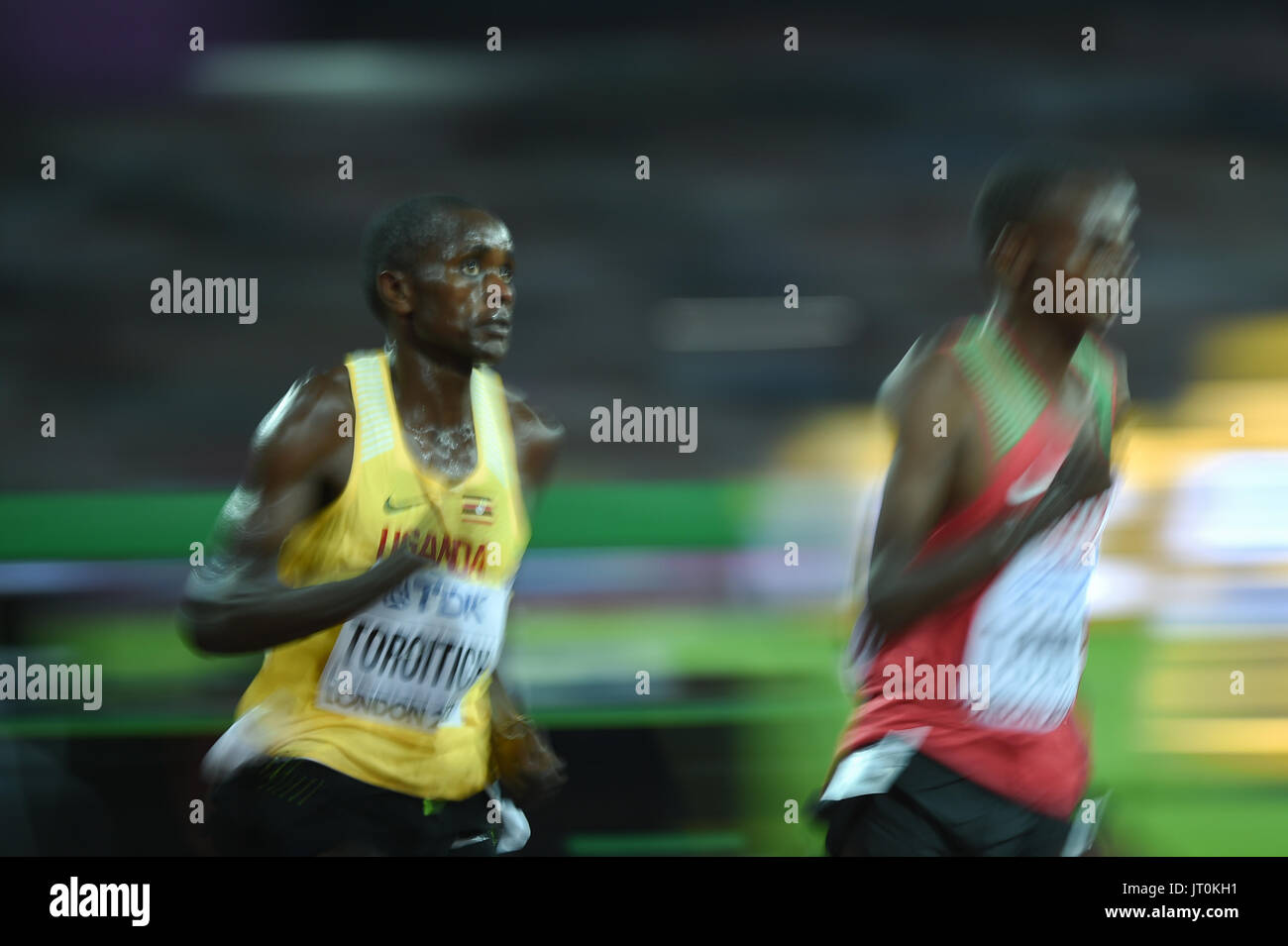 Timothy toroitich hi-res stock photography and images - Alamy