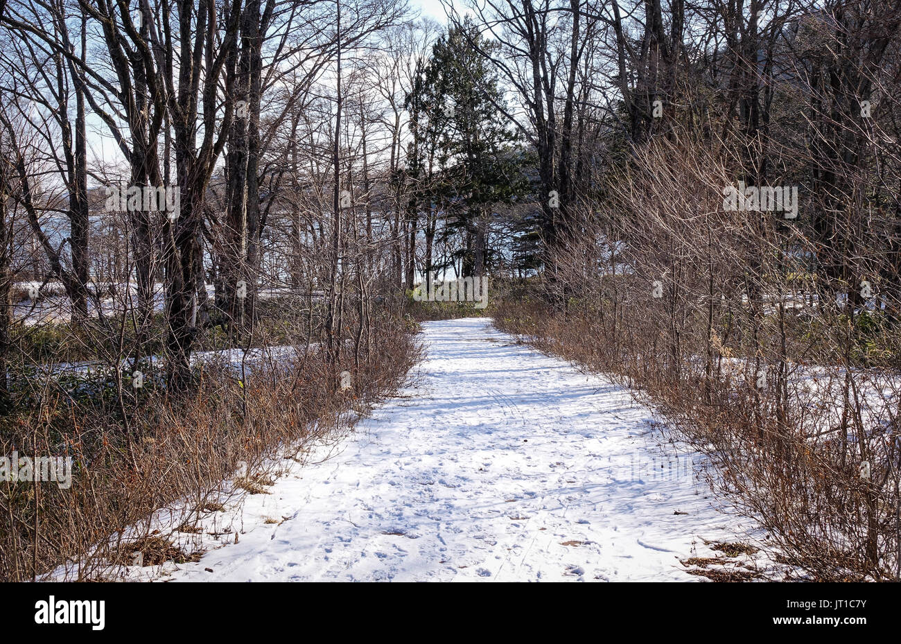 Winter road at national park in Nikko, Japan. Nikko is a town at the ...