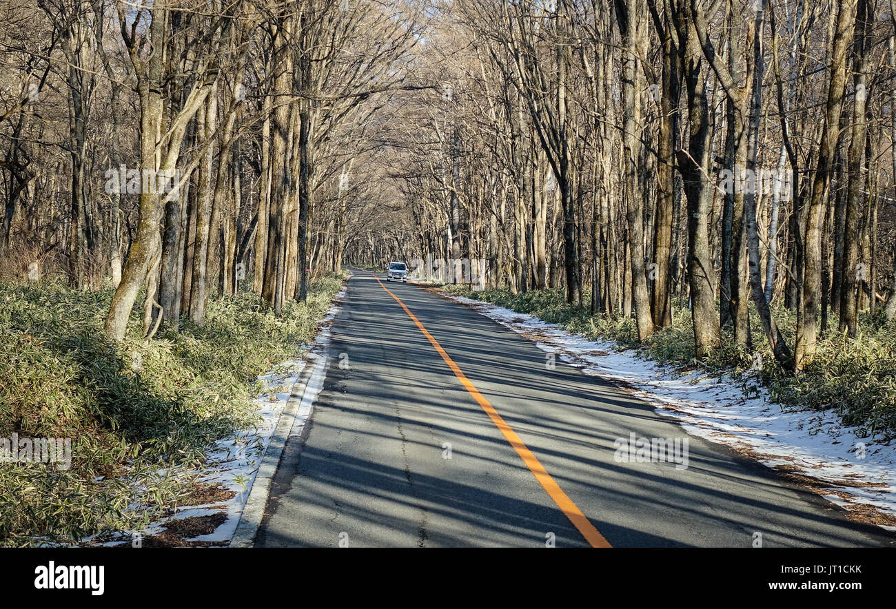 Mountain road at sunny day in Nikko, Japan. Nikko is a popular ...