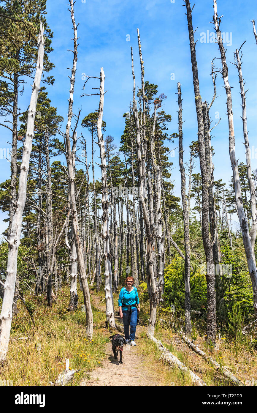 Trees are still stripped of leaves from 2007 storm near the end of the ...