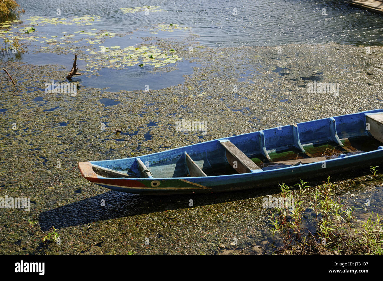 Guandu lake hi-res stock photography and images - Alamy