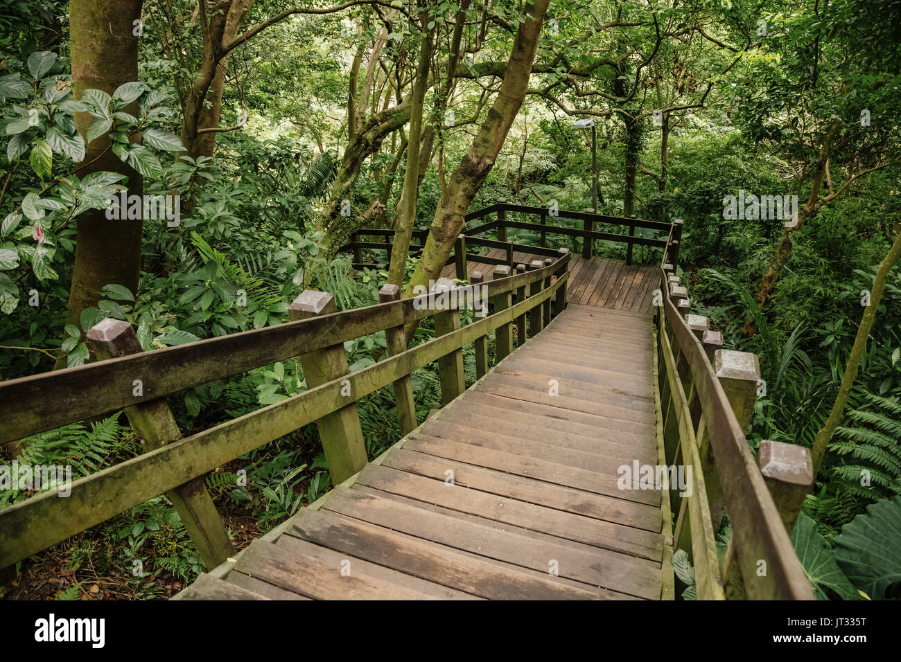 The tiger trails Stock Photo - Alamy