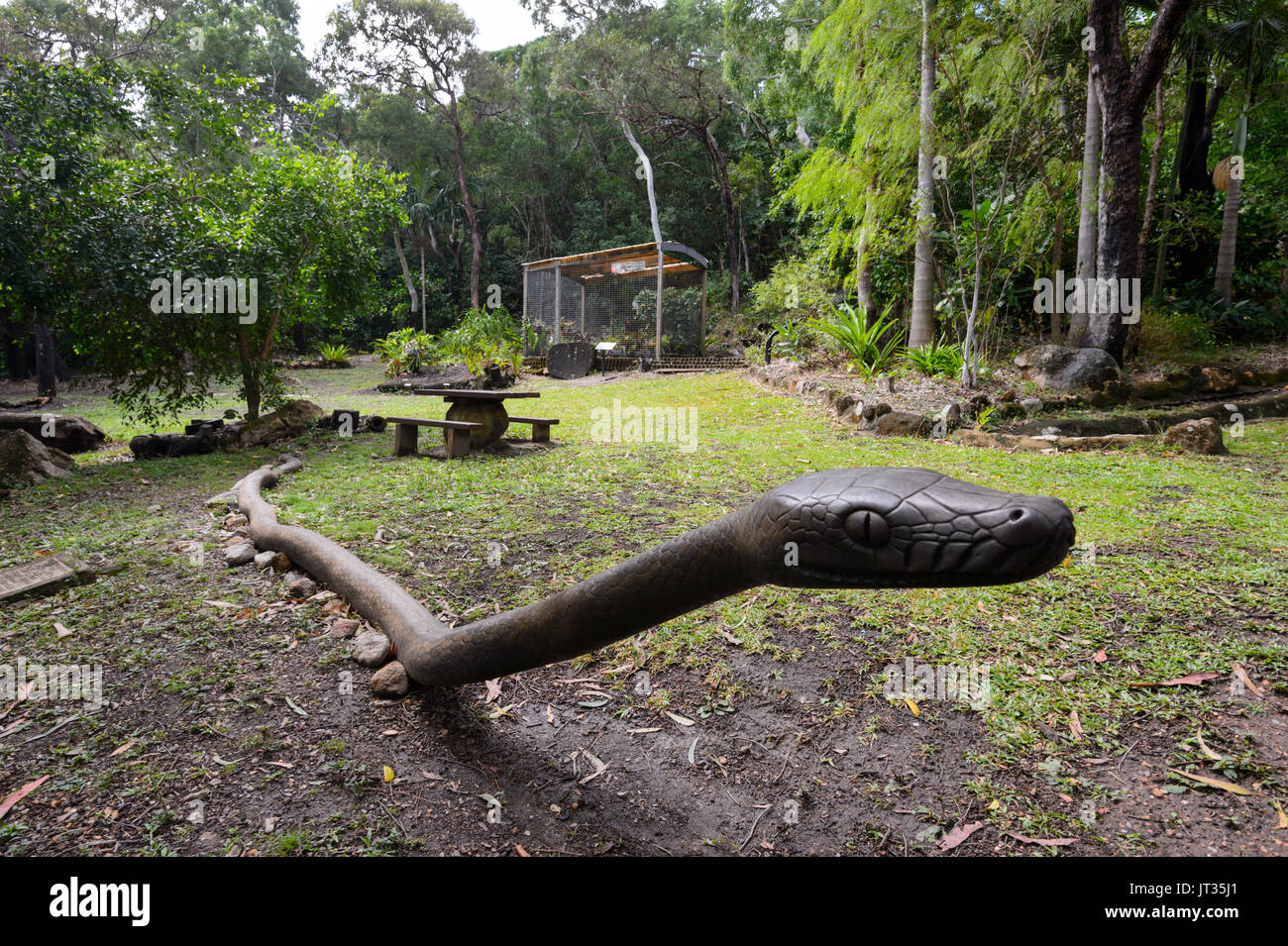Python carved from ironwood, Cooktown Botanical Gardens, Far North ...