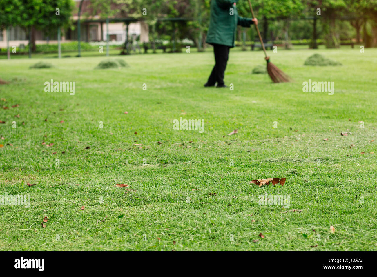 The lawns are cut and people are sweeping the floor clean Stock Photo ...