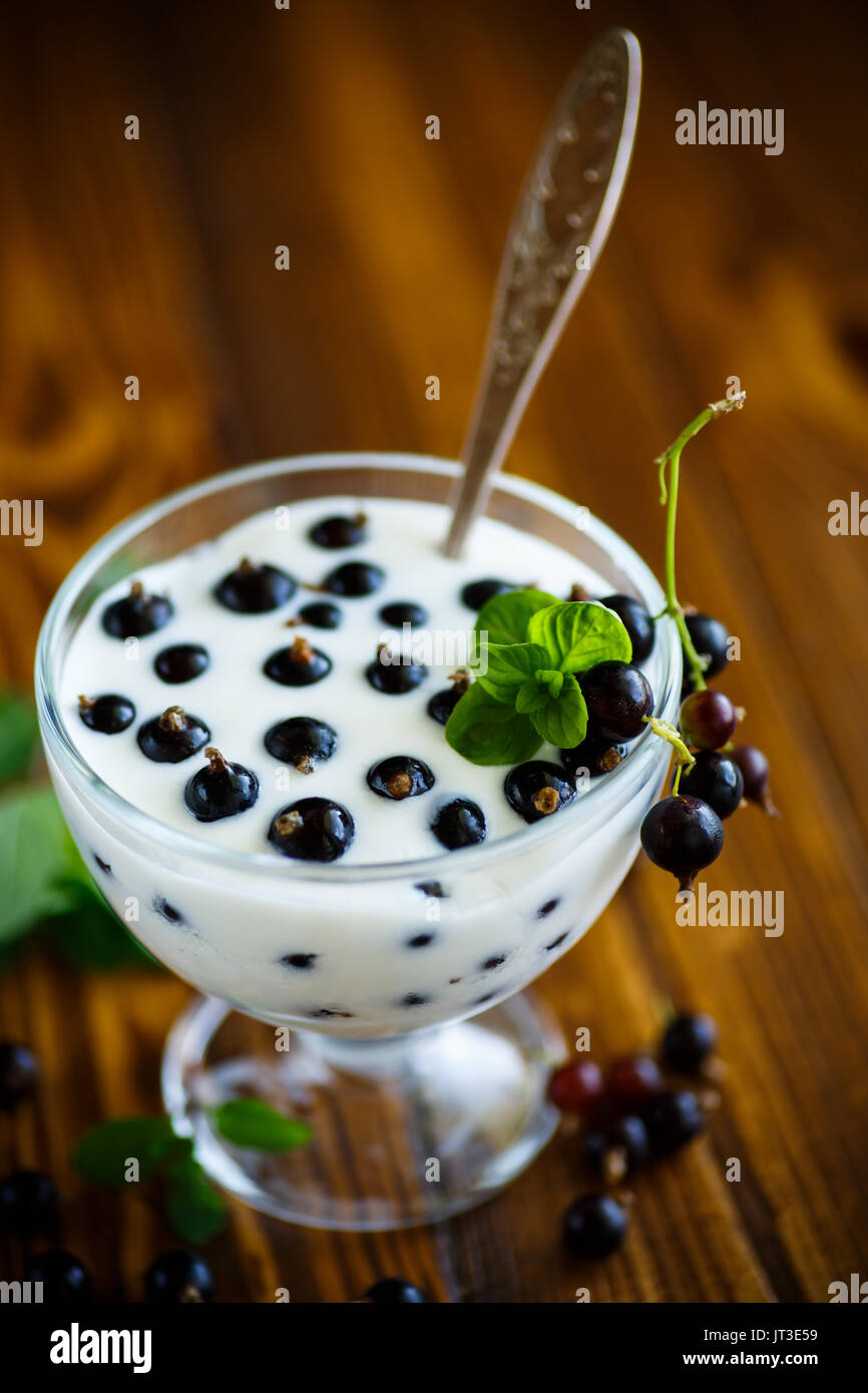 Sweet Greek yogurt with black currant berries Stock Photo - Alamy