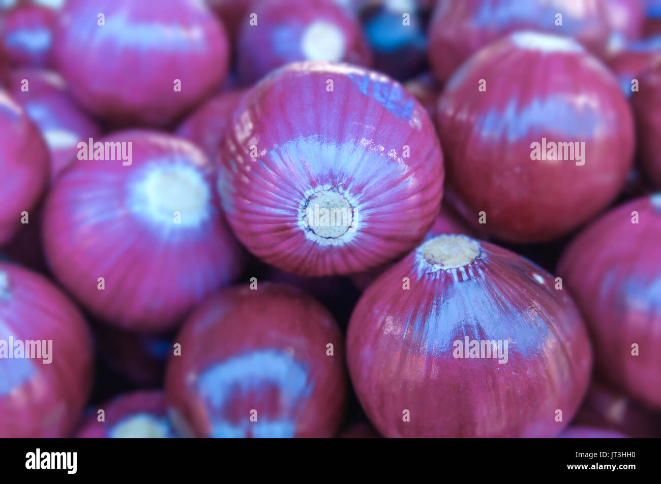 Big healthy vegan organic purple onions on market Stock Photo - Alamy