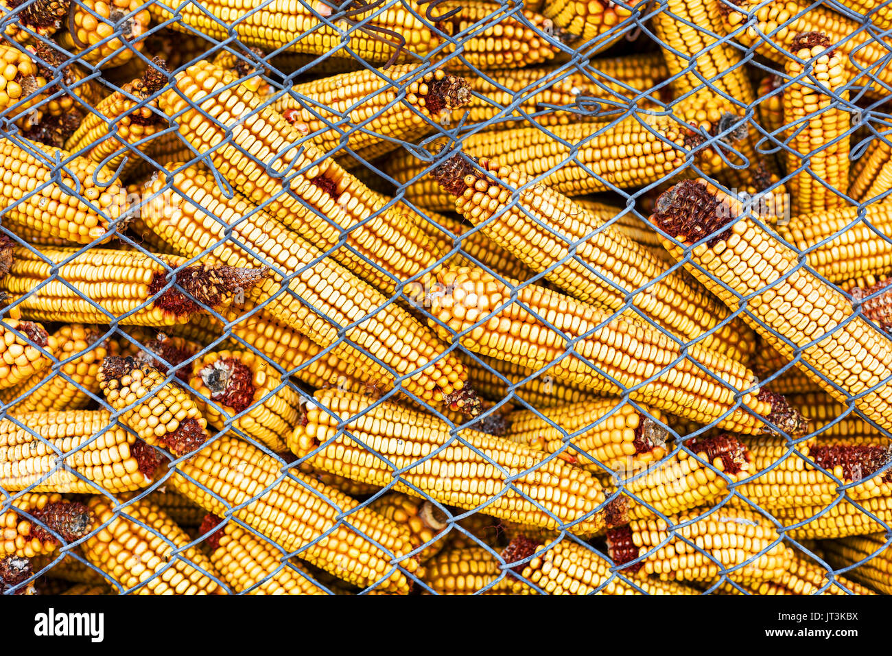 Maize barn hi-res stock photography and images - Alamy