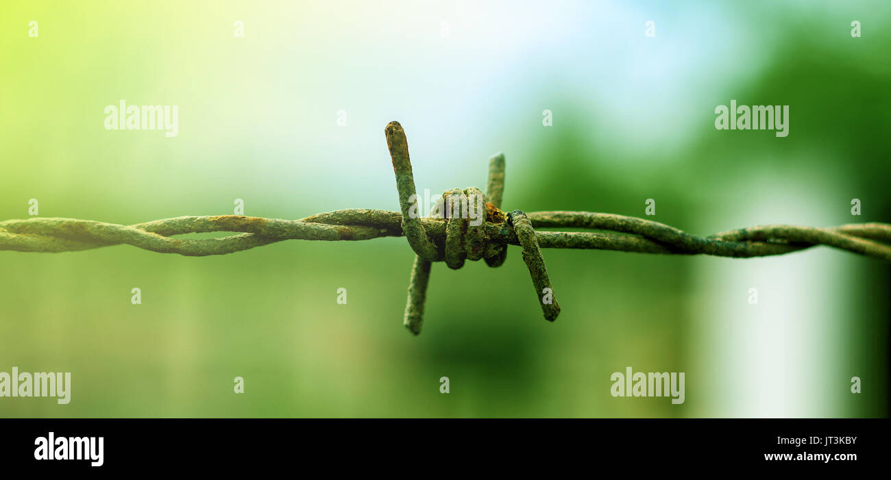 Old and rusted barbed wire closeup Stock Photo - Alamy