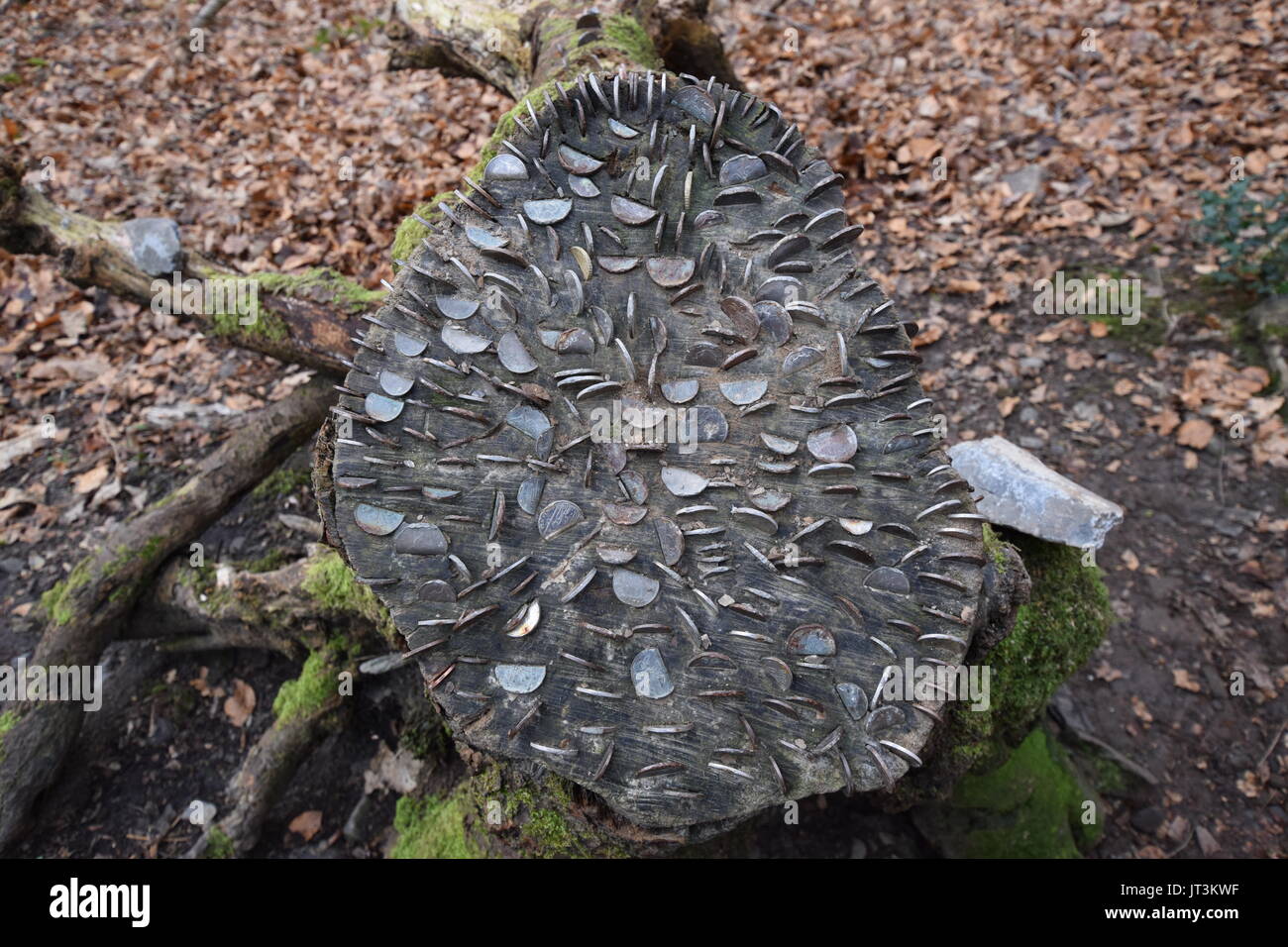 Money grows on trees Stock Photo - Alamy