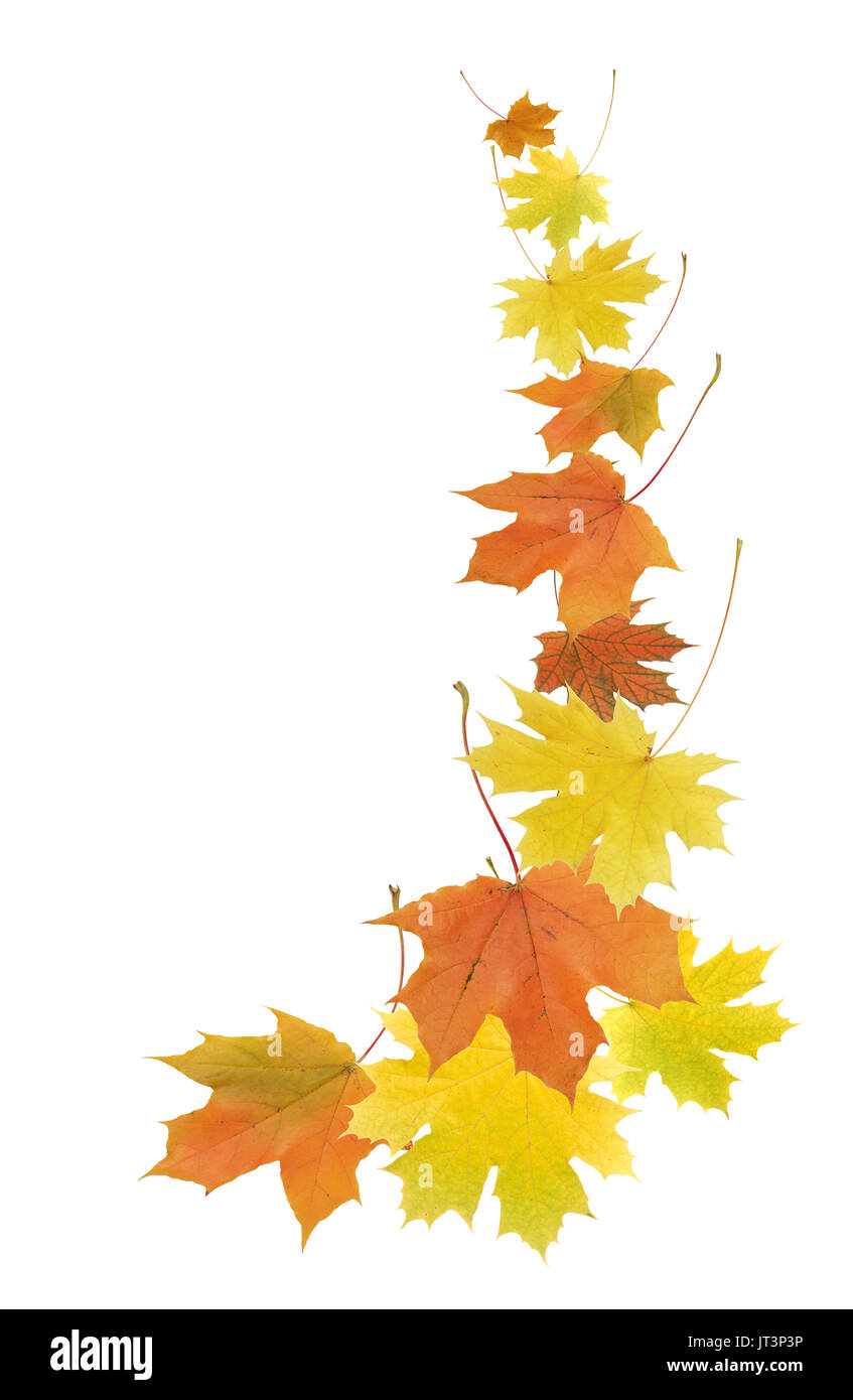 Autumn frame made leaves Cut Out Stock Images & Pictures - Alamy