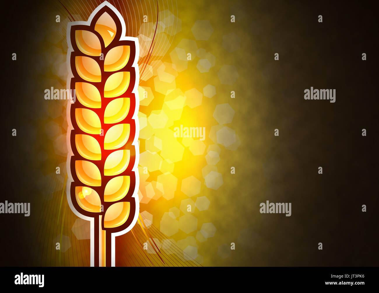 Corn plant drawing hi-res stock photography and images - Alamy