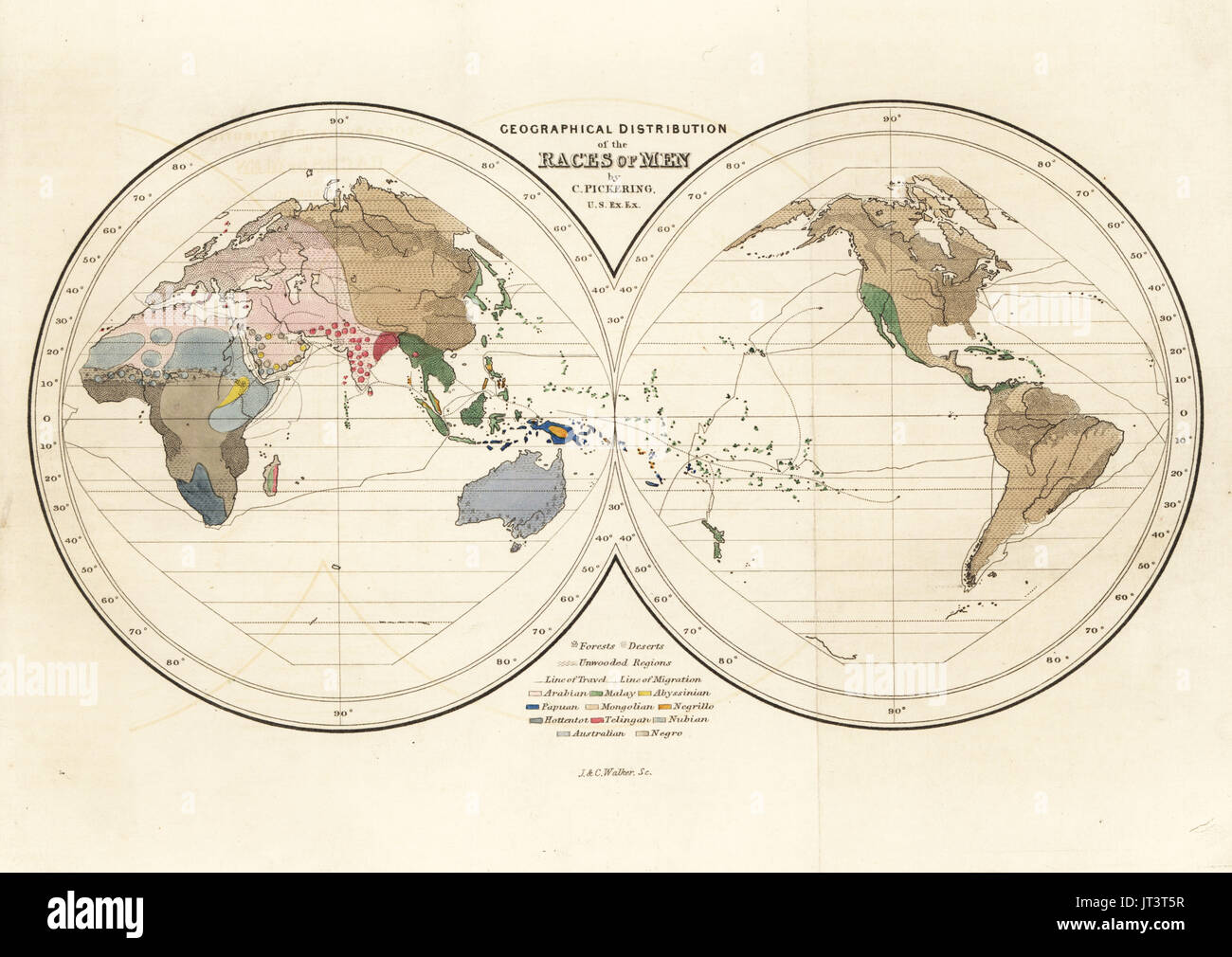 World map of the Geographical Distribution of the Races of Men. Arabian ...