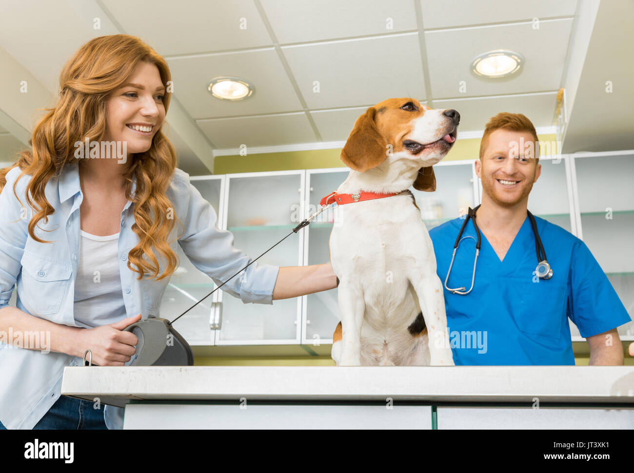 Woman with her dog at veterinary doctor Stock Photo - Alamy