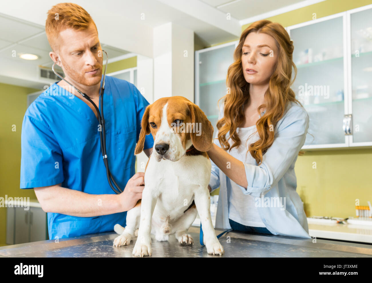 Veterinary assistant hi-res stock photography and images - Alamy