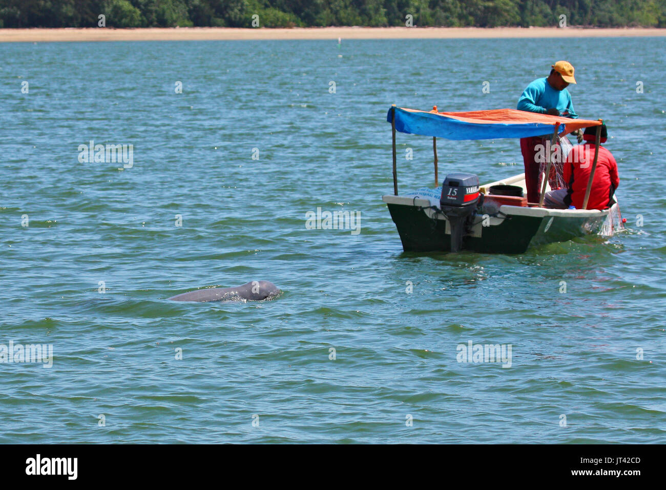 Irrawaddy dolphin mouth hi-res stock photography and images - Alamy