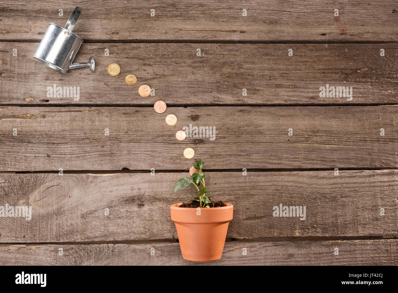 top view of coins pouring from watering can into plant, saving concept ...