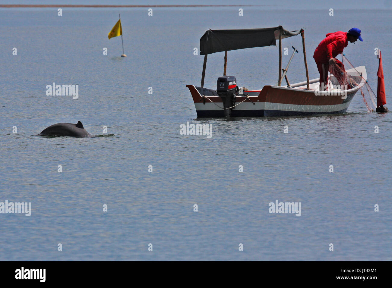 Irrawaddy dolphin fishing hi-res stock photography and images - Alamy