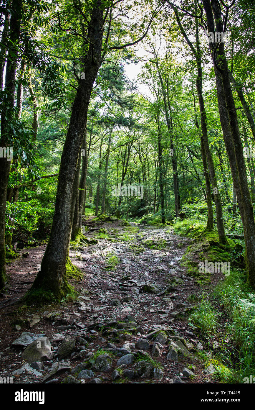 Pathways North High Resolution Stock Photography and Images - Alamy