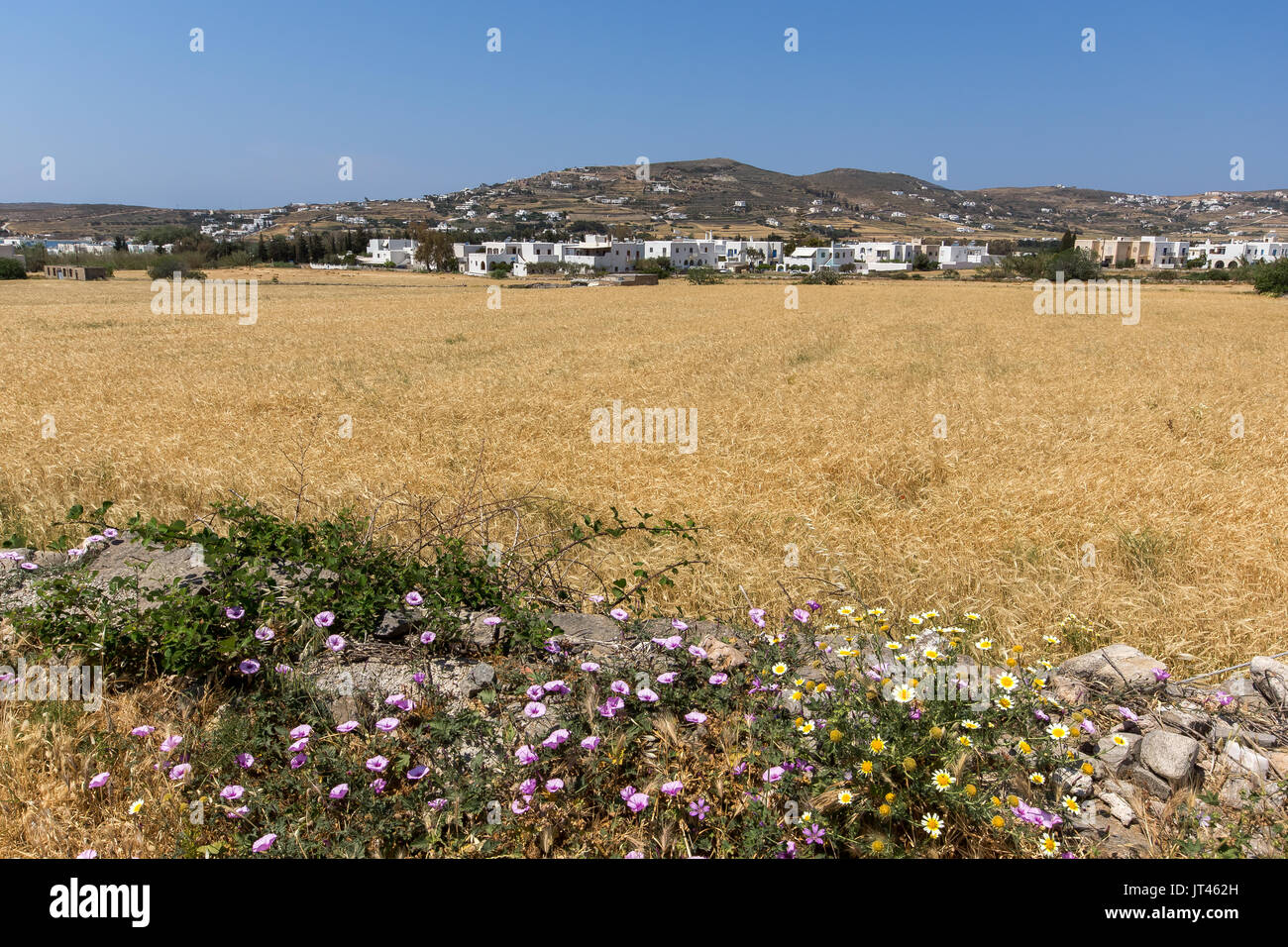Paros Island Landscape, Cyclades Stock Photo - Alamy