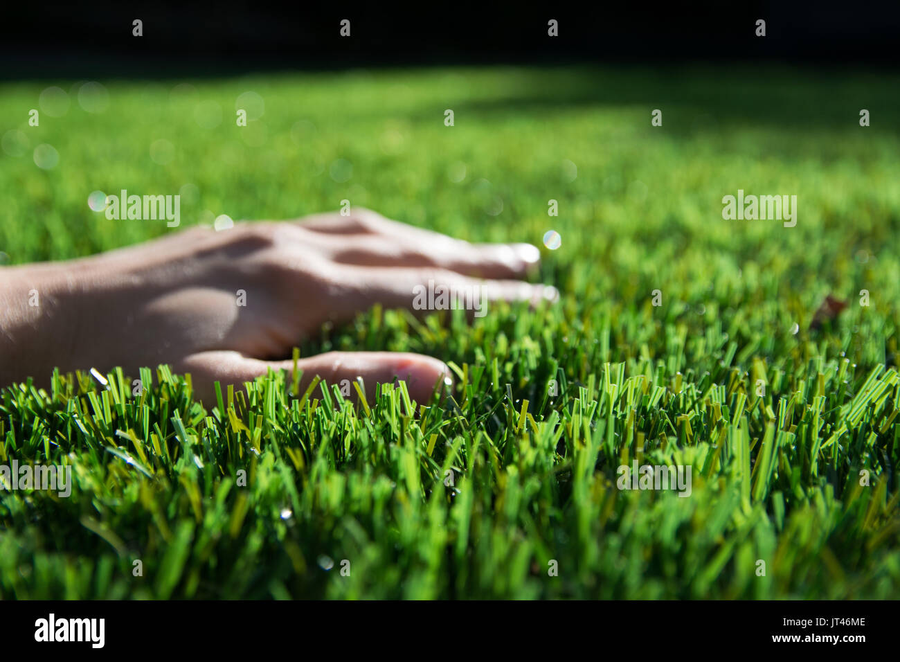 Hand in the grass Stock Photo - Alamy