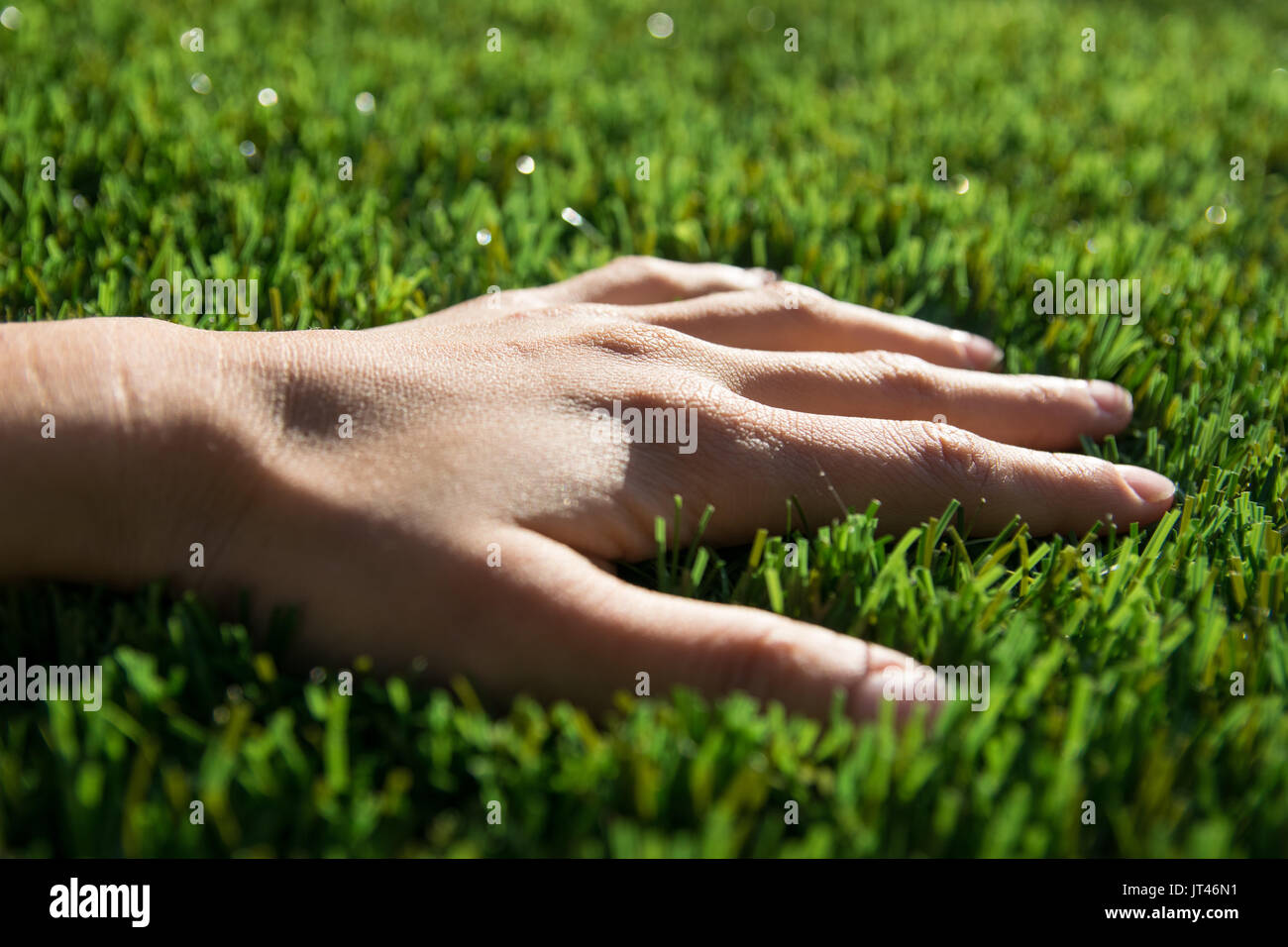 Hand in the grass Stock Photo - Alamy