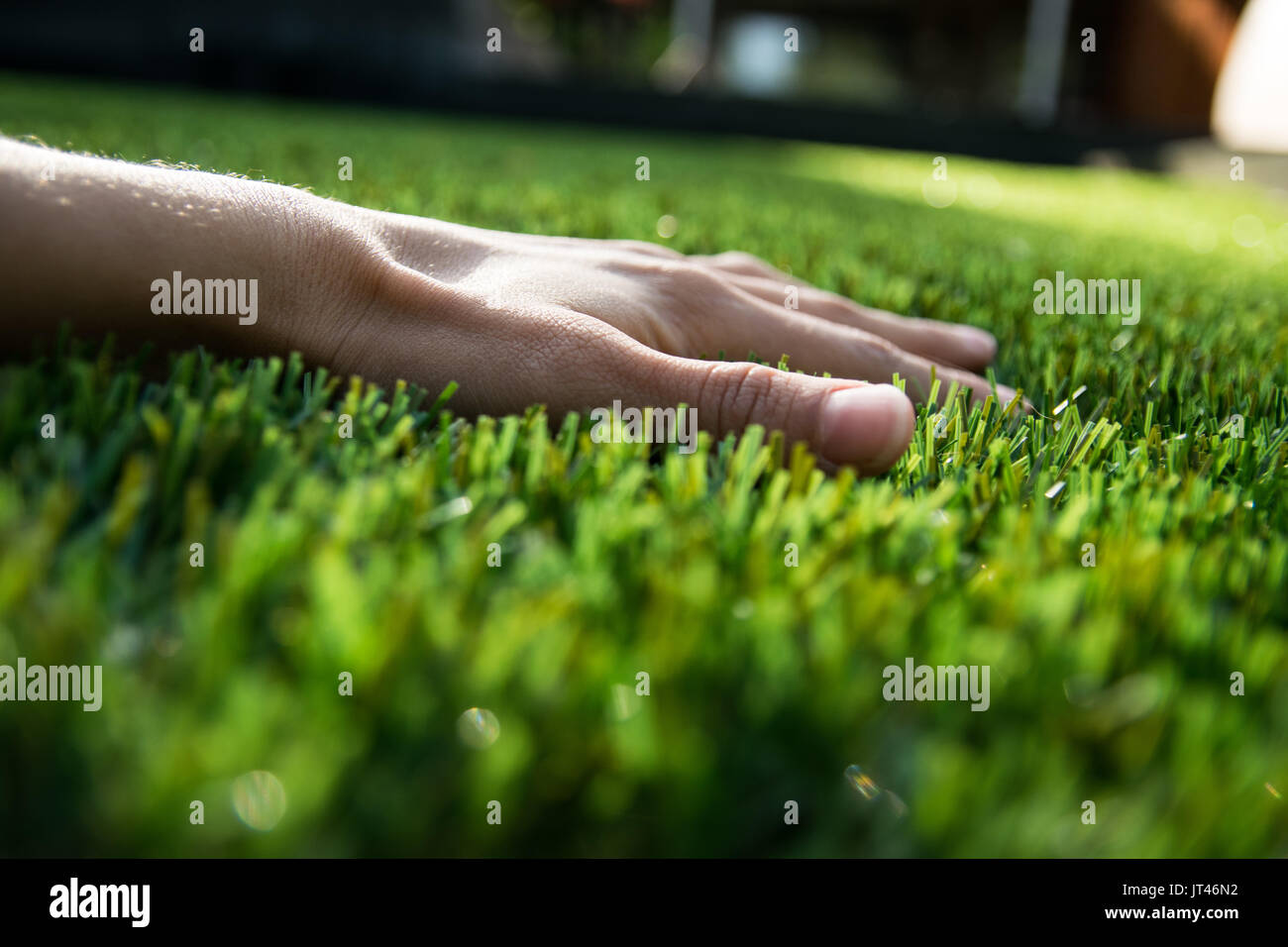 Hand in the grass Stock Photo - Alamy