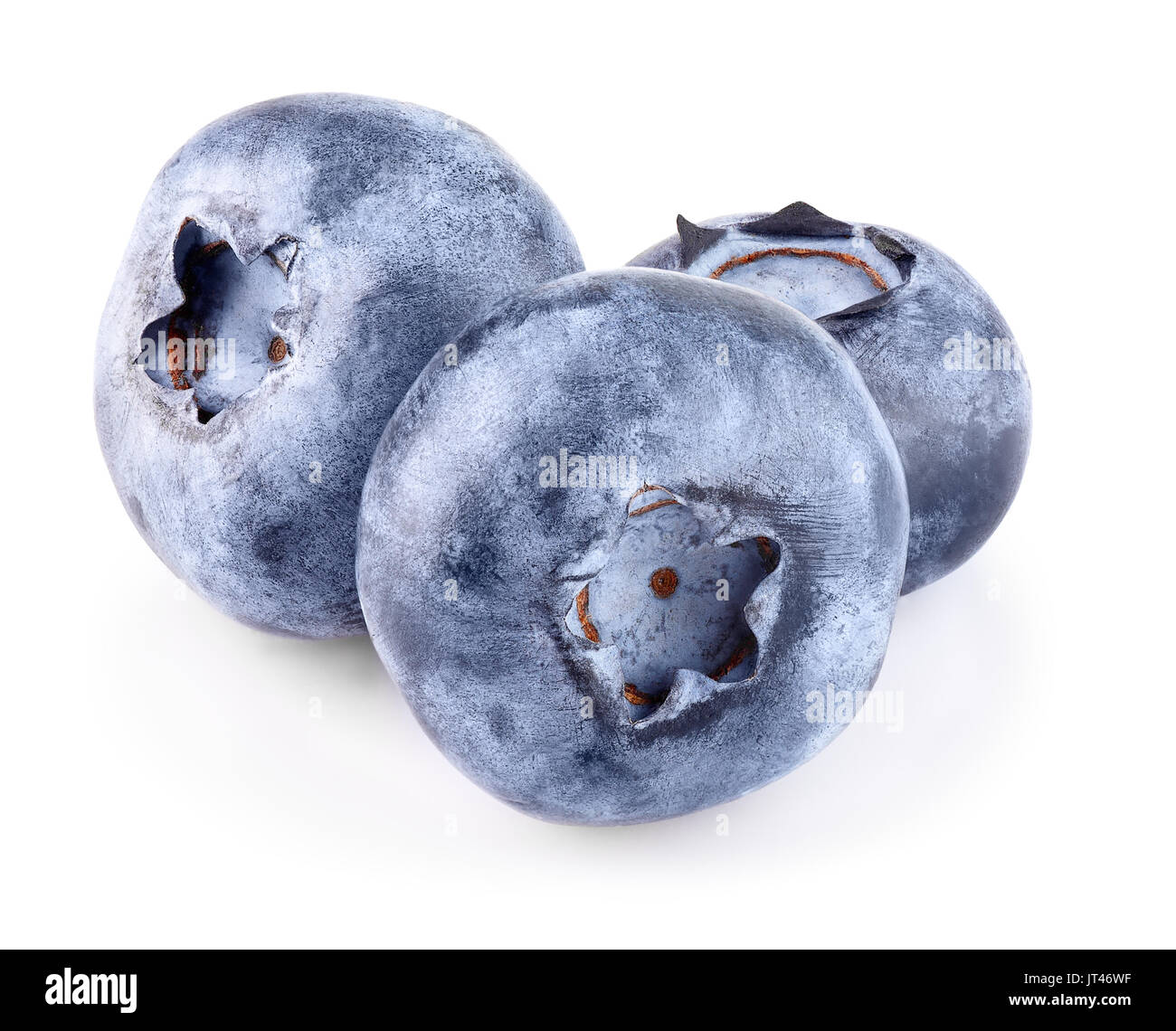 three blueberries isolated on white background. Wild berry Stock Photo ...