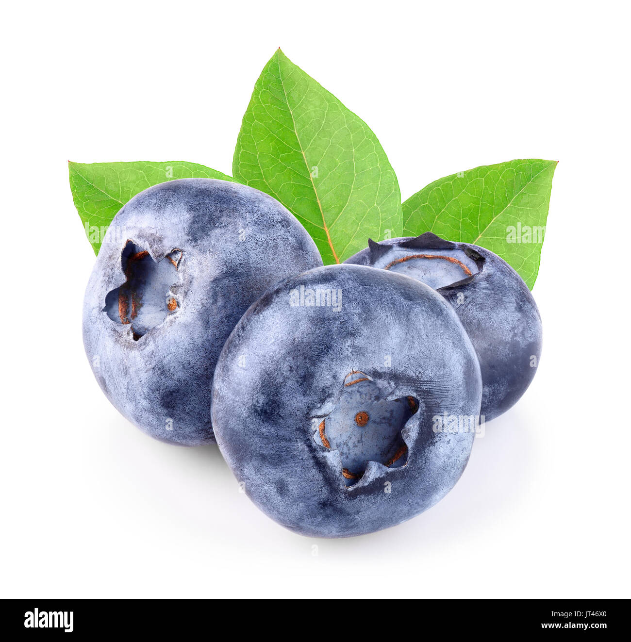 three blueberries with leaves isolated on white background. Wild berry ...
