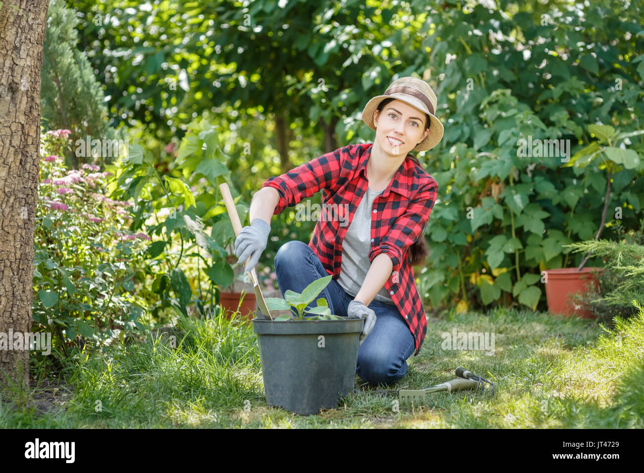 People gardening hi-res stock photography and images - Alamy