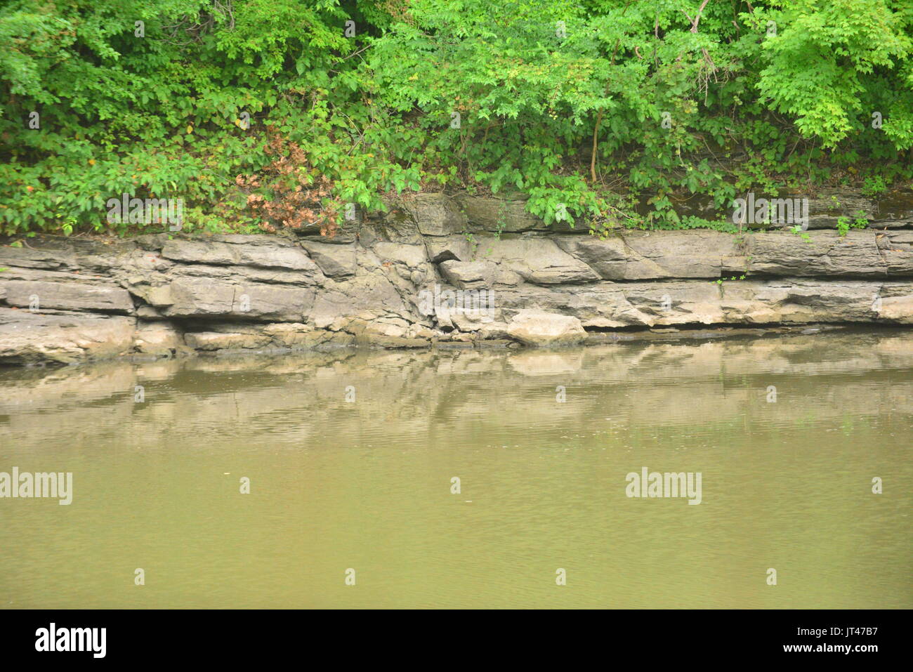 Edge of the forrest hi-res stock photography and images - Alamy