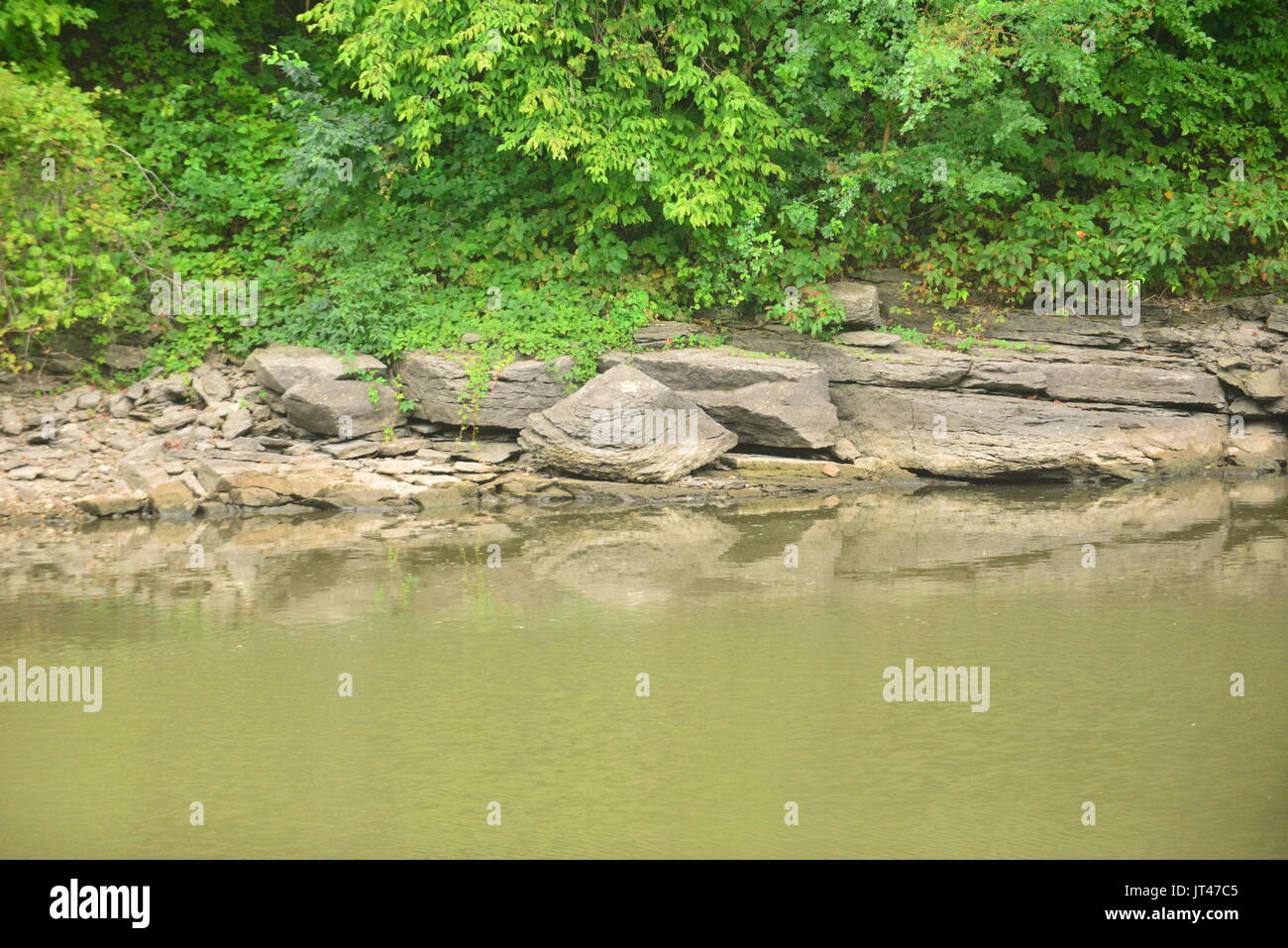 Forrest rock hi-res stock photography and images - Alamy
