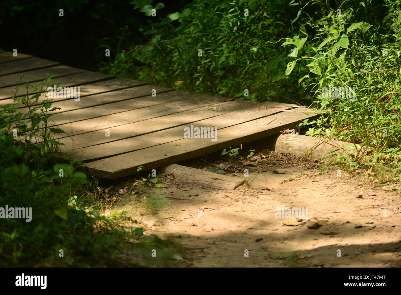 Wooden forrest path hi-res stock photography and images - Alamy