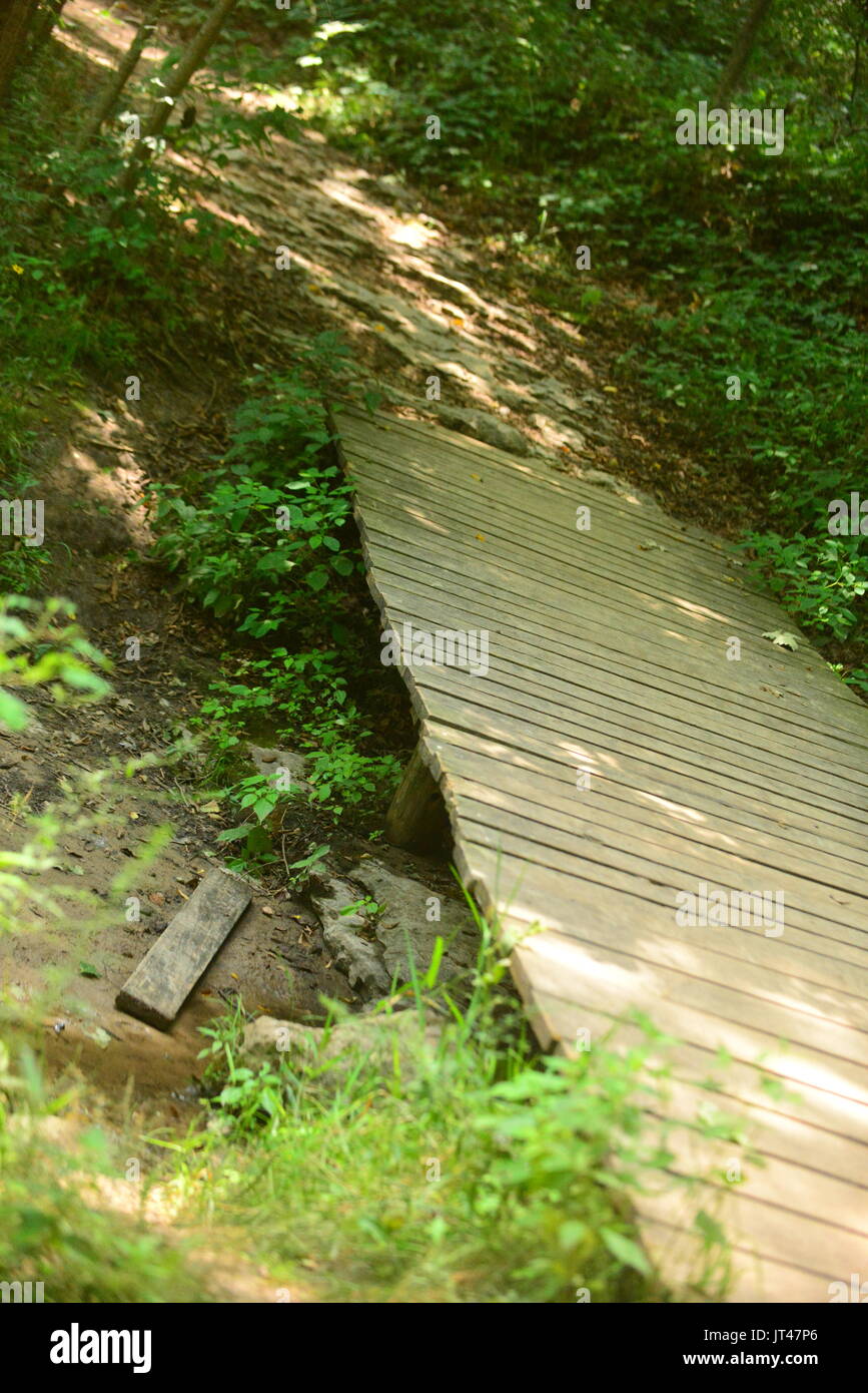 Wooden forrest path hi-res stock photography and images - Alamy