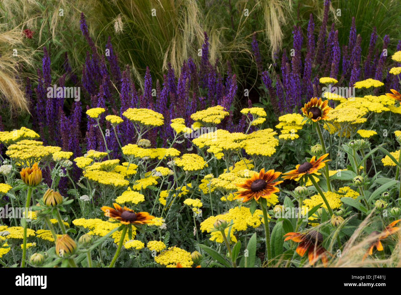 Prairie planting hi-res stock photography and images - Alamy