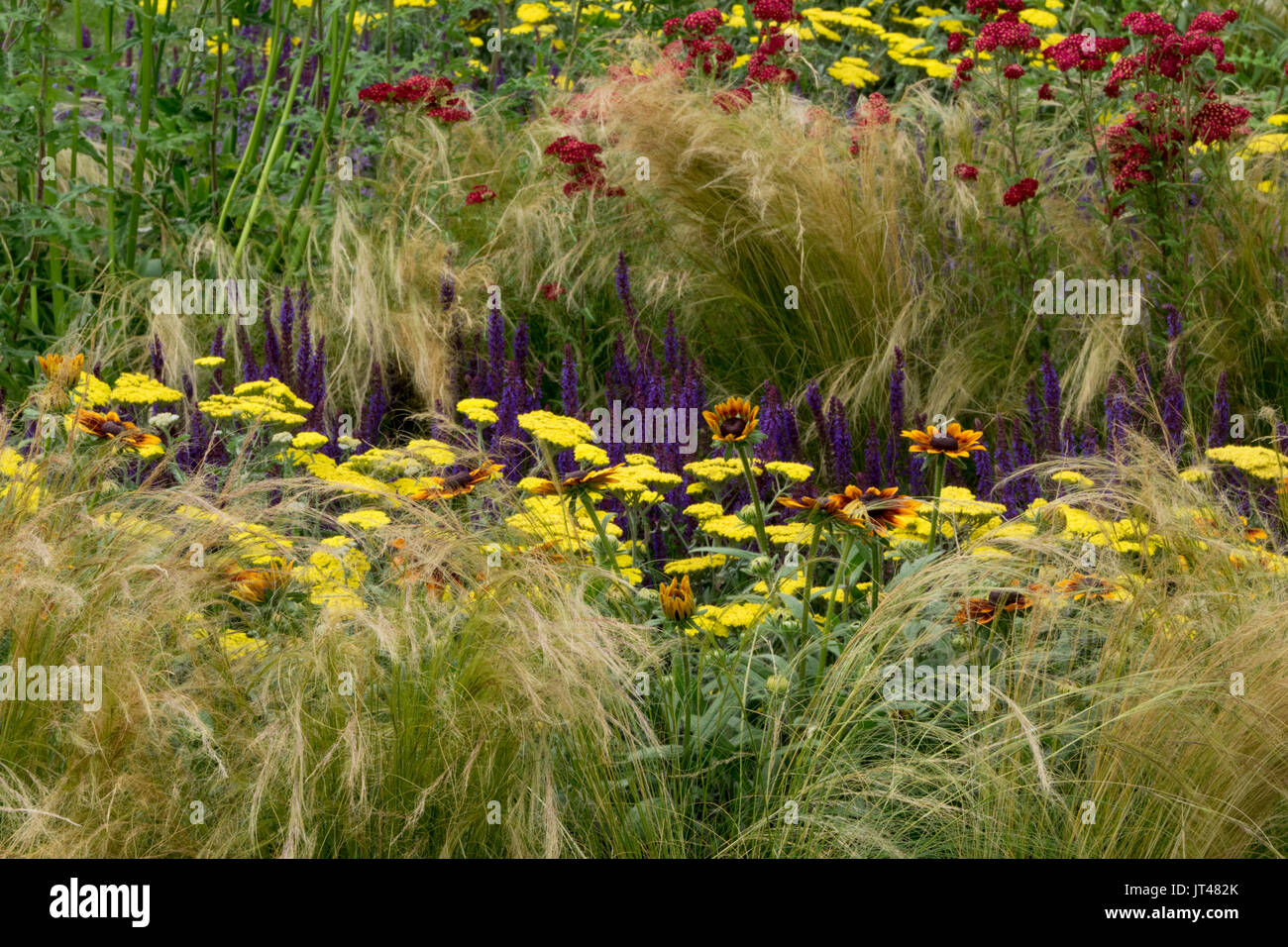 Prairie planting to illustrate drifts of colour. The planting is very ...