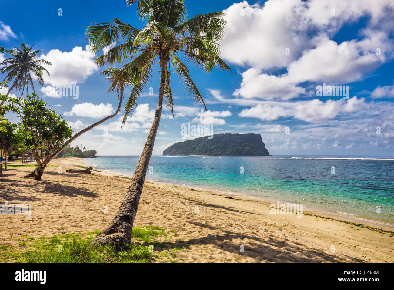 Tropical beach with a coconut palm trees and a beach fales, Samoa ...
