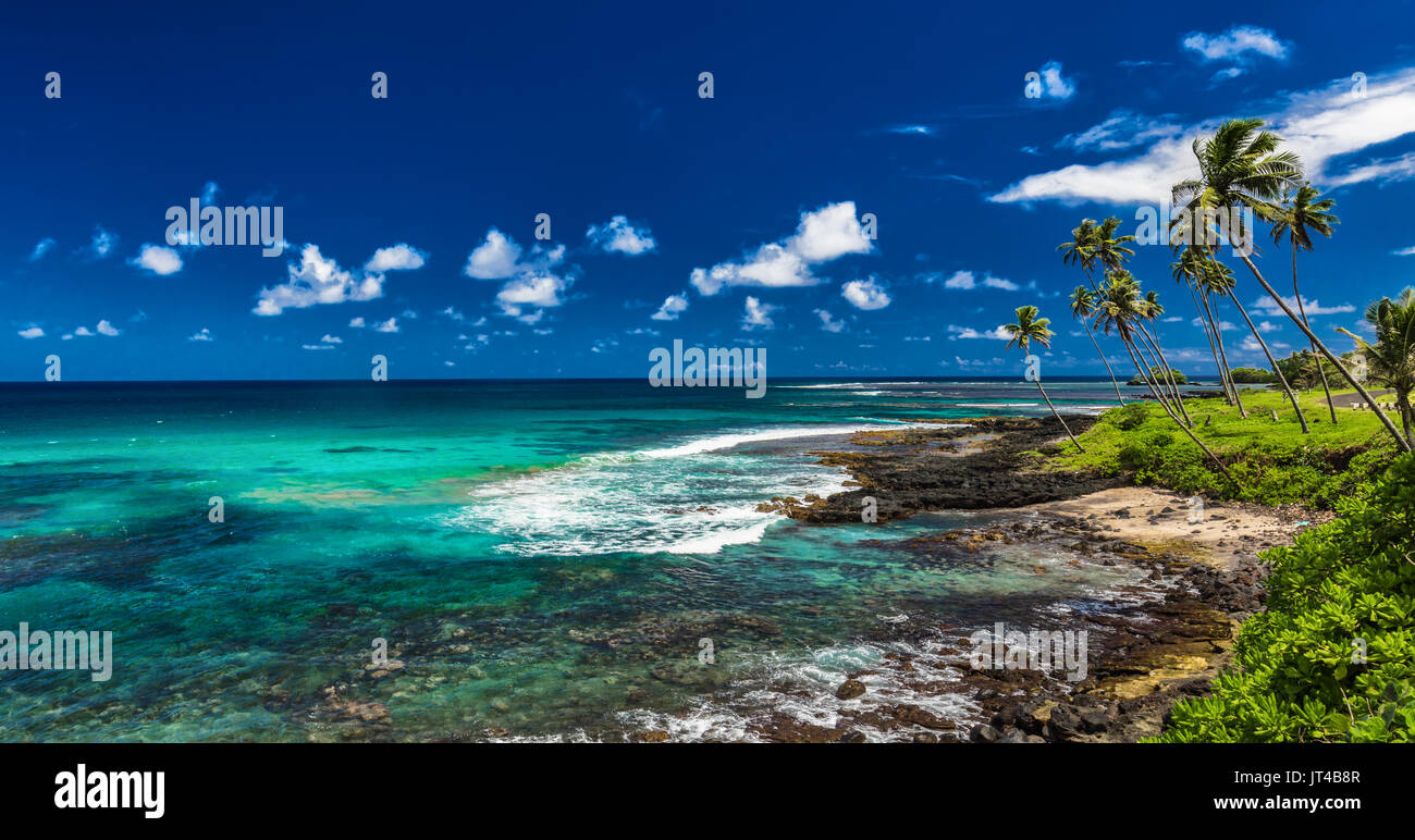 Tropical volcanic beach on Samoa Islands with many palm trees, Upolu ...