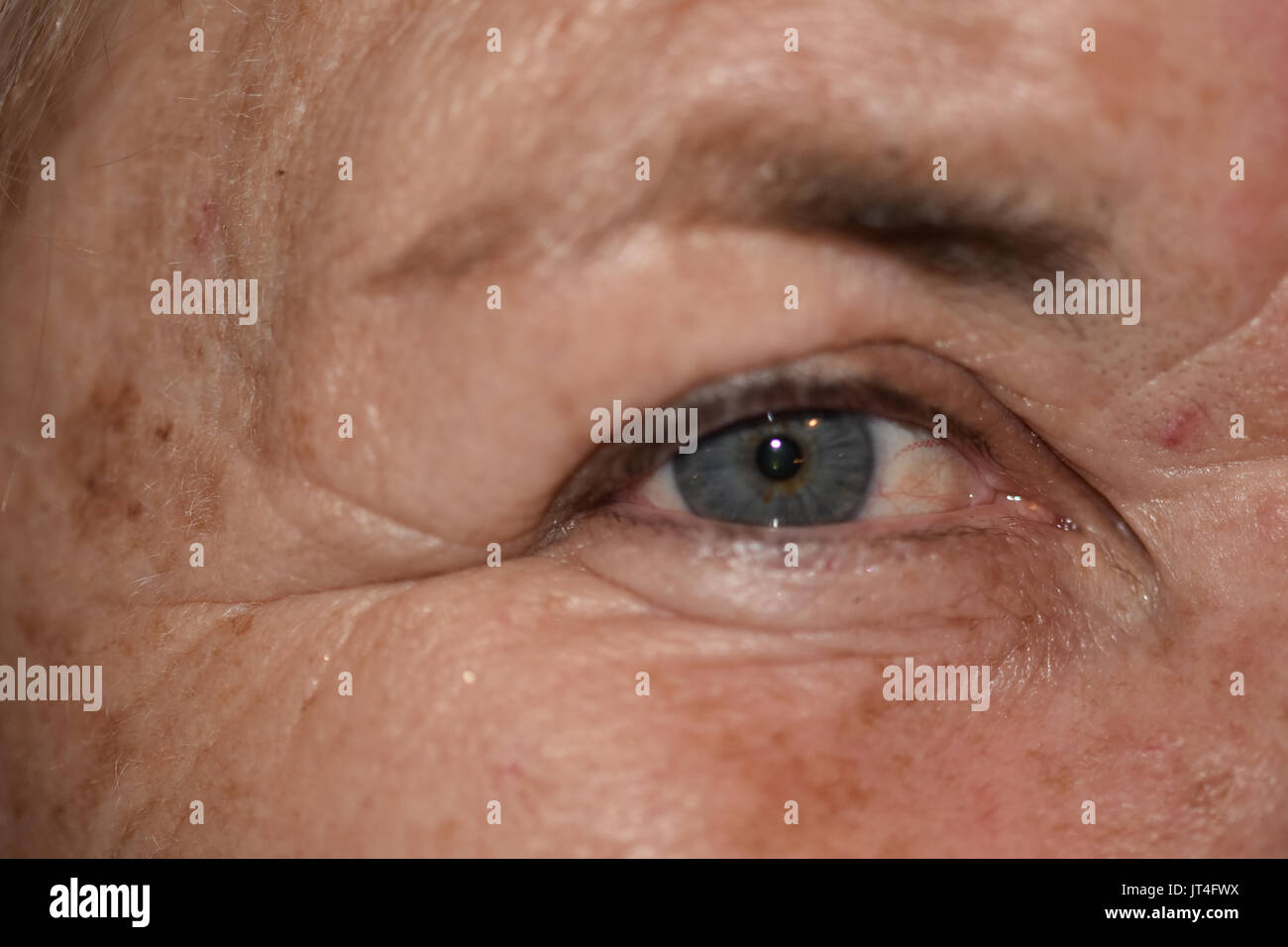 Eyelashes close up hi-res stock photography and images - Alamy