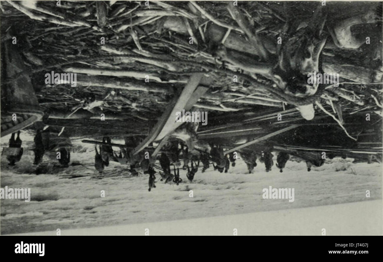 "Alaska, its history and resources, gold fields, routes and scenery ...