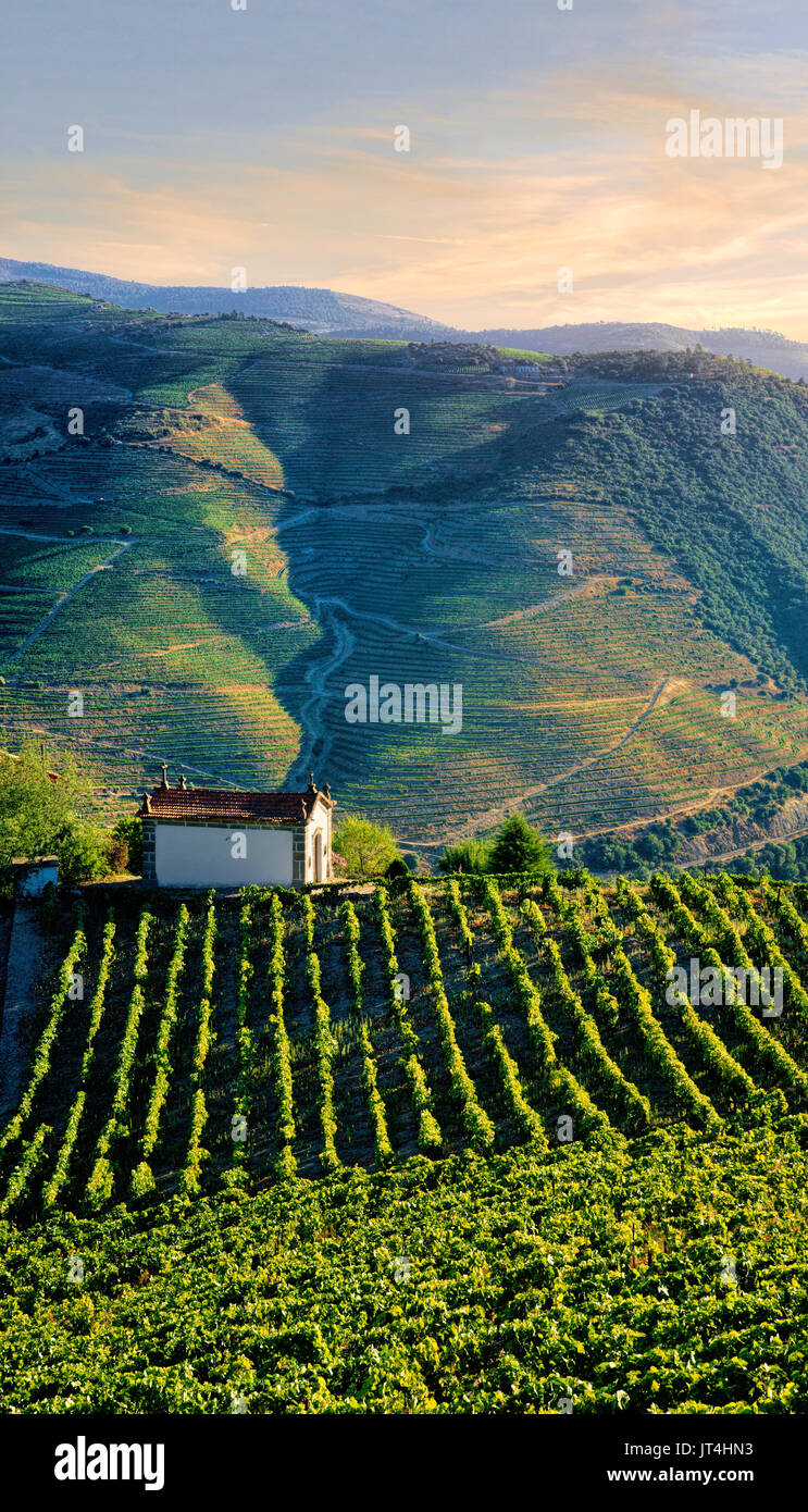Portugal, the Alto Douro, a chapel among terraced vineyards above the ...