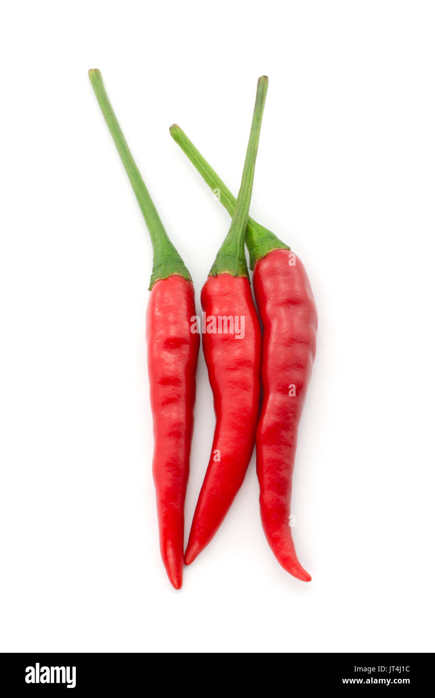 Hot chili pepper or small chili padi isolated on white background Stock ...