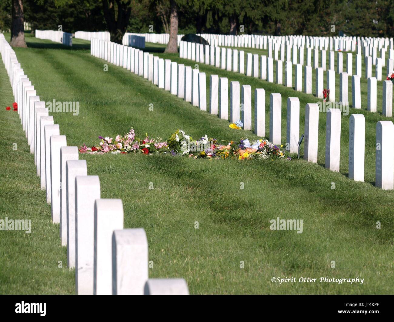 Row up row of grave markers in veterans cemetery, no names shown Stock ...