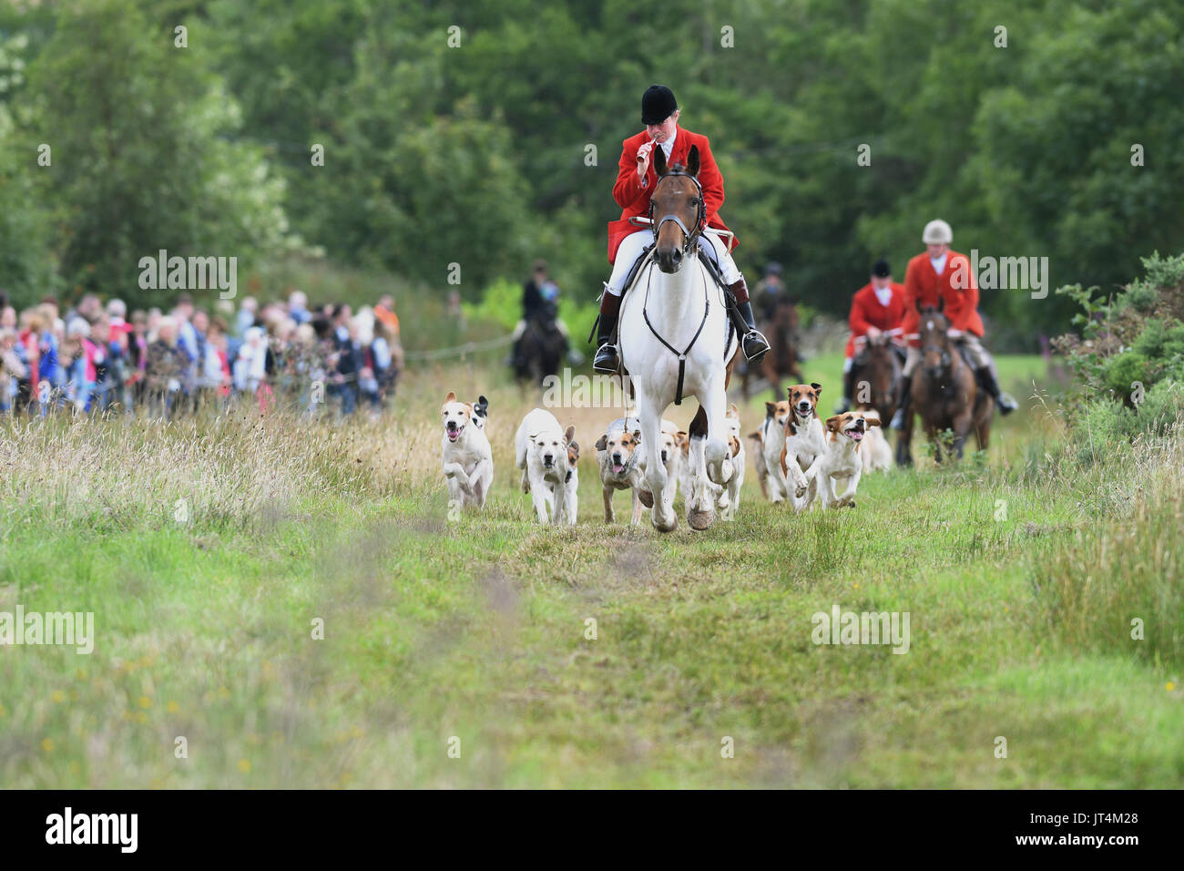 Common riding 2017 hi-res stock photography and images - Alamy