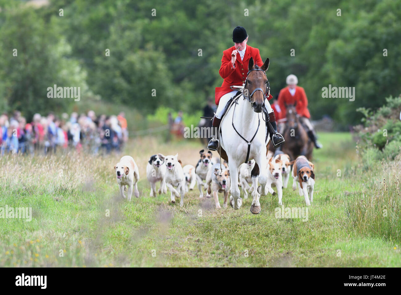Common riding 2017 hi-res stock photography and images - Alamy