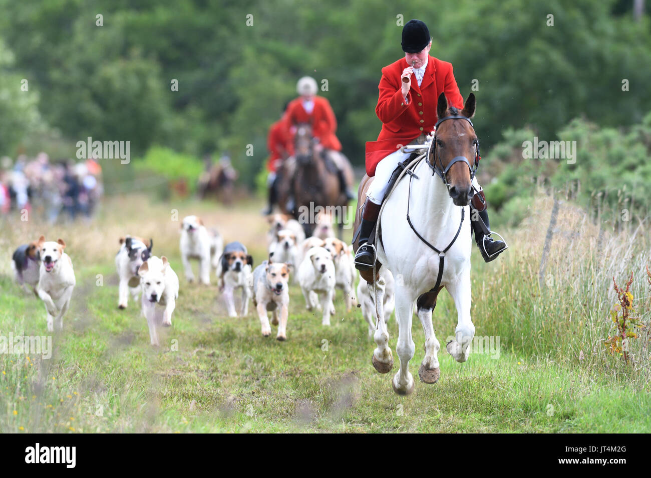 Common riding 2017 hi-res stock photography and images - Alamy