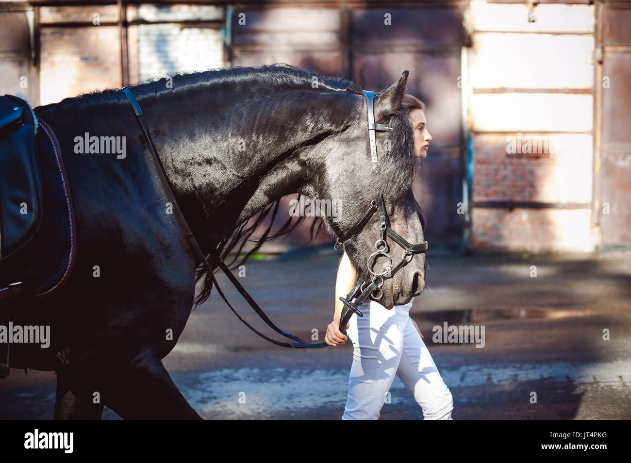 Emotional Portrait of a female in love with horses, black Friesian ...
