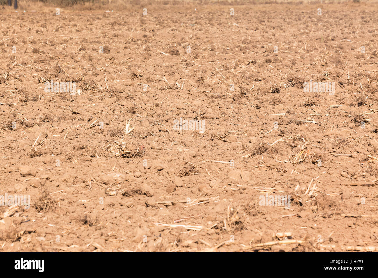Plowed farm field closeup earth soil detail agriculture background ...