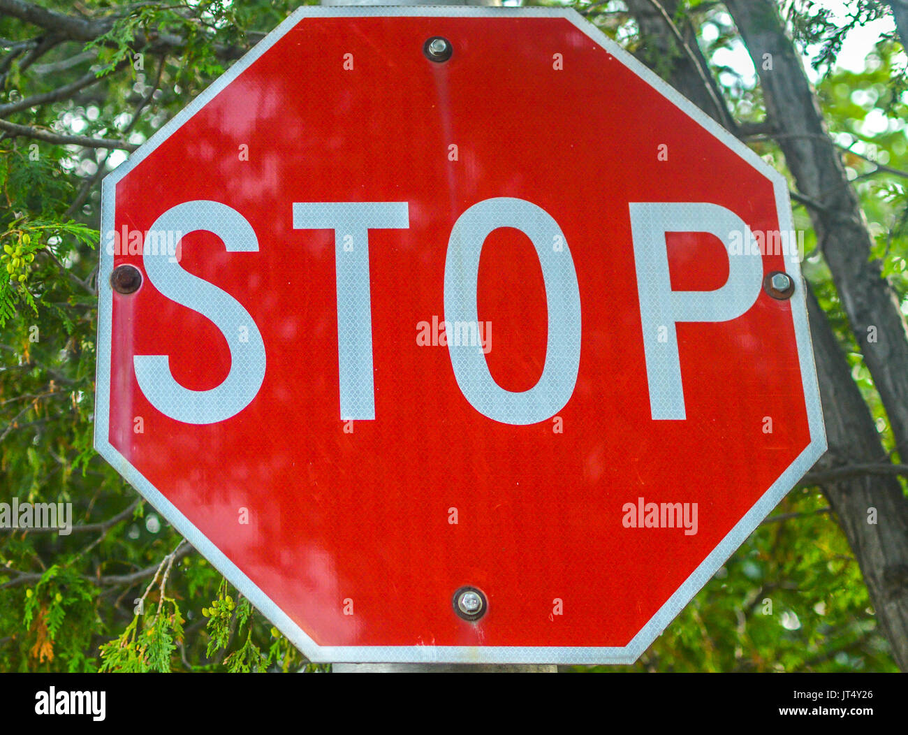 Red Stop Sign isolated on forest background in Montreal, Canada ...