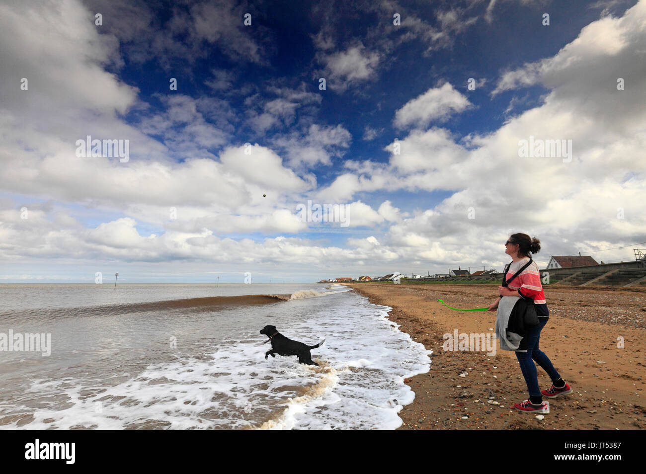 Woman throwing a ball in to the sea for her dog on Heacham beach ...